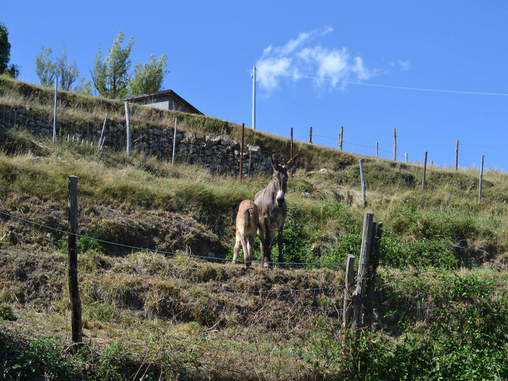 Val di Vara : la vallée du bio dans l’arrière-pays de La Spezia - B. Italie